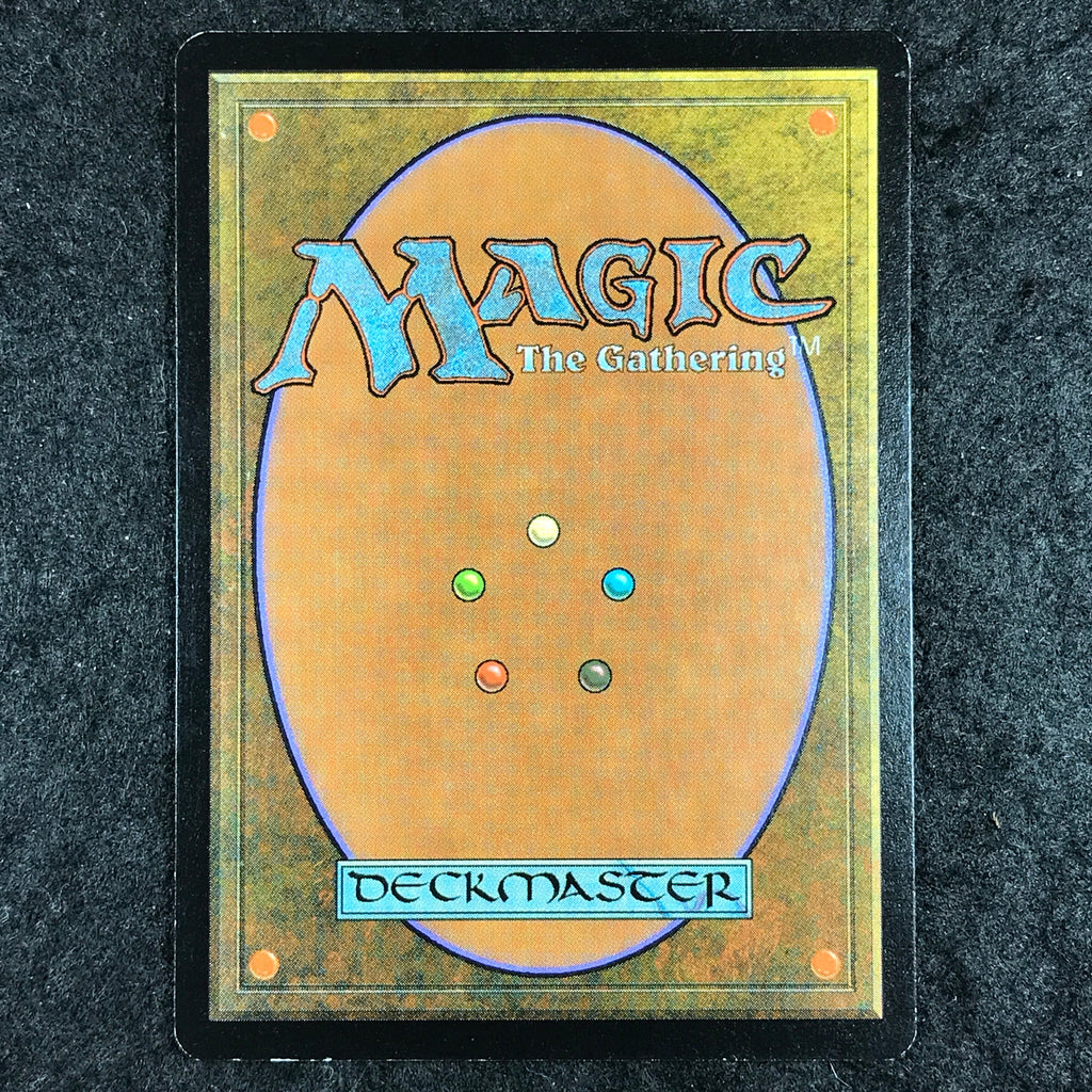 FOIL Forest - 2001 Beta MTG Arena Promo – Cherry Collectables